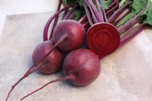 Beet - Sakata Wholesale Vegetable Seed
