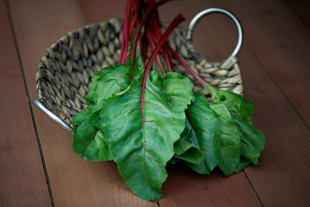 Fresh Pak - Sakata Wholesale Vegetable Seed