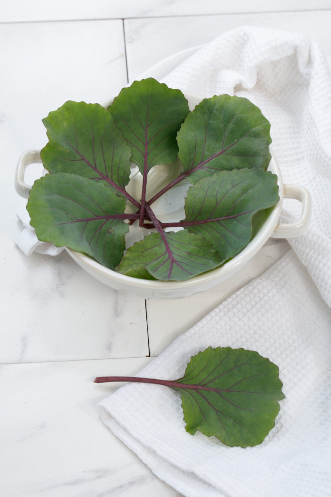 Red Jewel - Sakata Wholesale Vegetable Seed