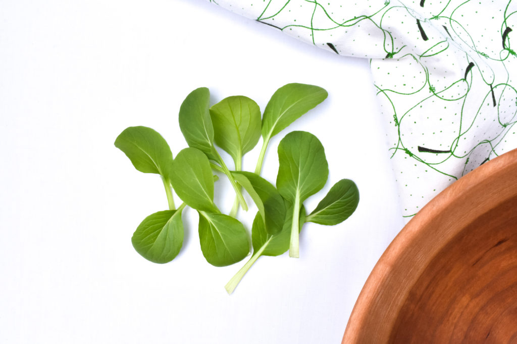 Mei Qing Choi - Sakata Wholesale Vegetable Seed