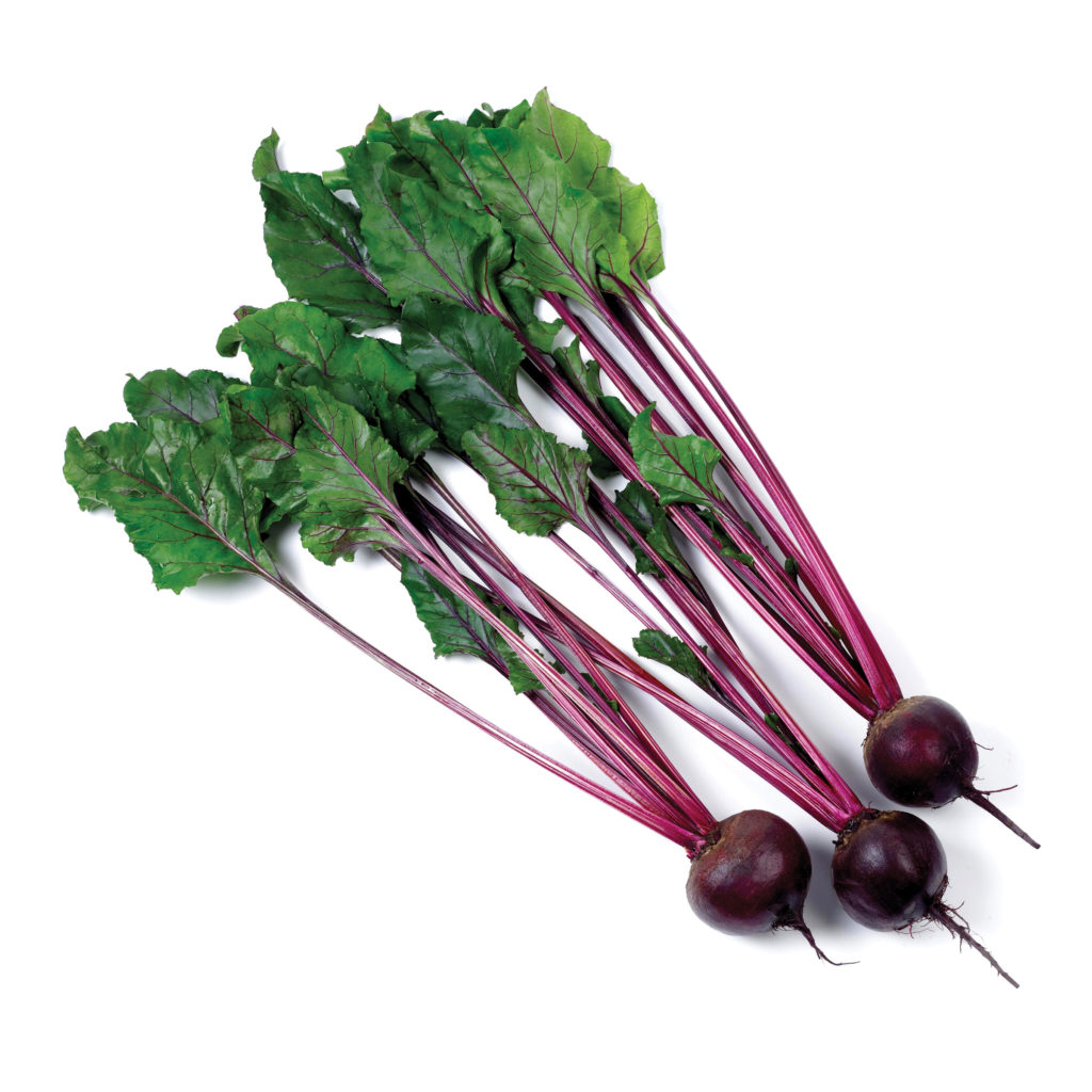 Eagle - Sakata Wholesale Vegetable Seed