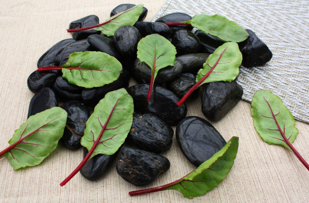 Fresh Pak - Sakata Wholesale Vegetable Seed
