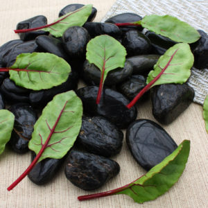Beet - Sakata Wholesale Vegetable Seed