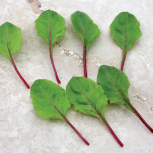 Beet - Sakata Wholesale Vegetable Seed