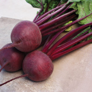 Beet - Sakata Wholesale Vegetable Seed