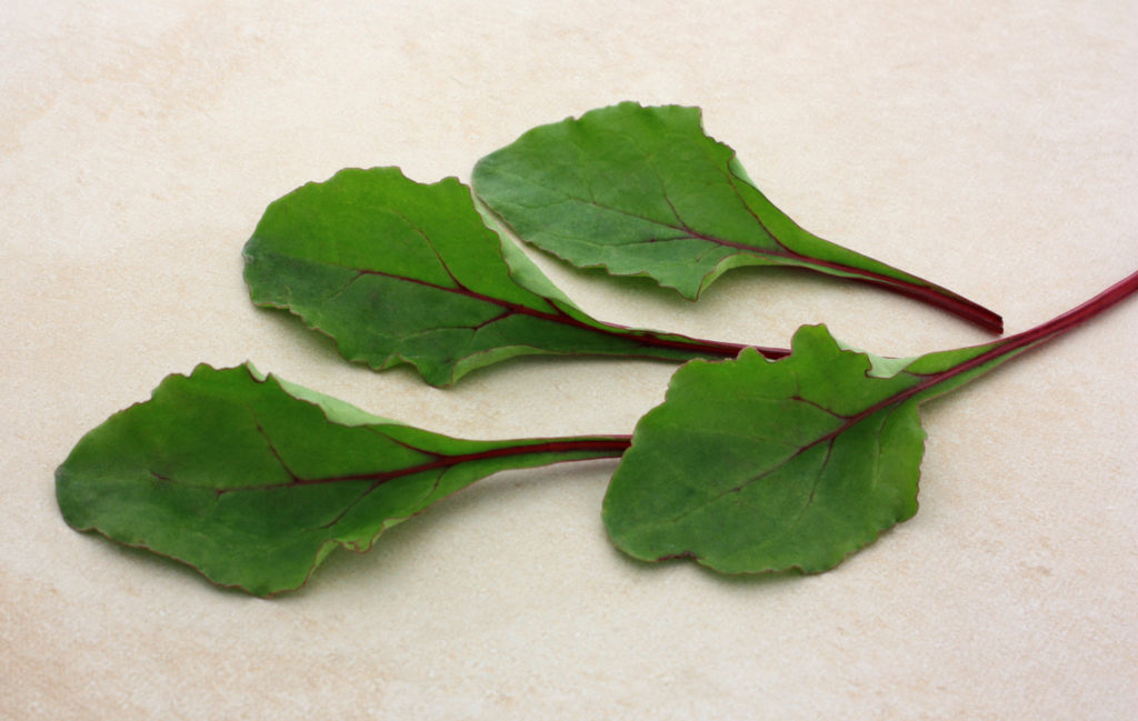 Merlin - Sakata Wholesale Vegetable Seed