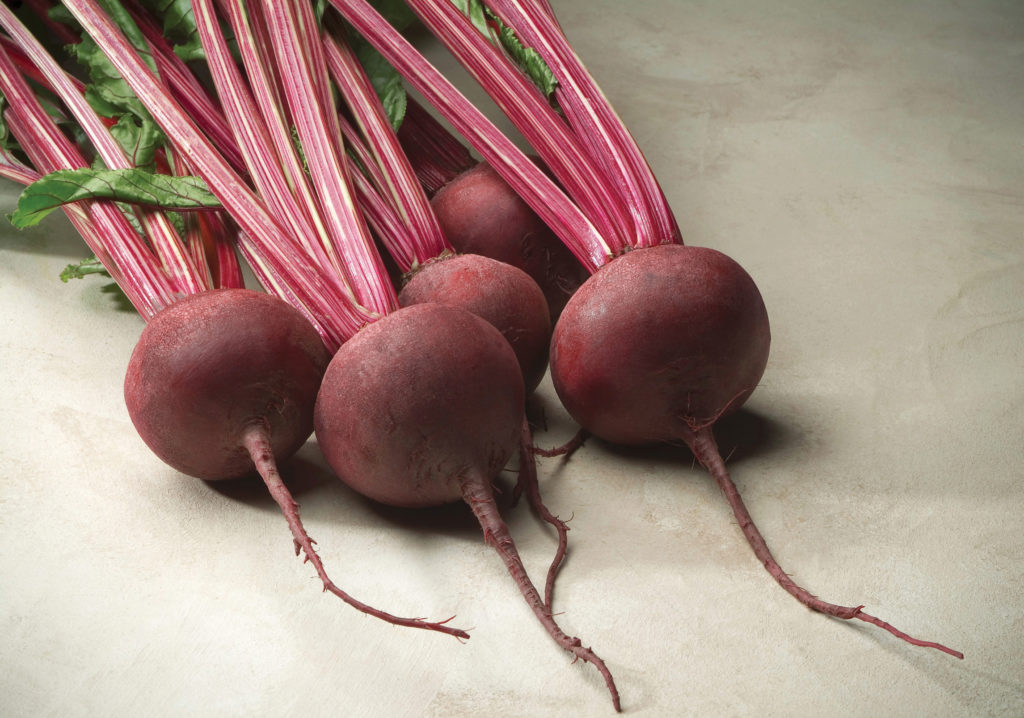 Red Ace - Sakata Wholesale Vegetable Seed