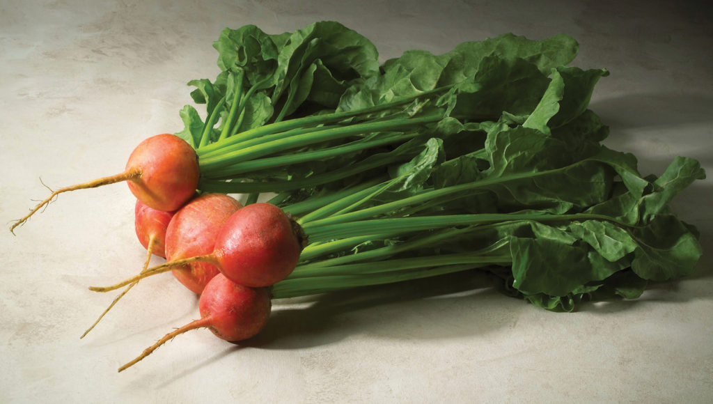 Beet - Sakata Wholesale Vegetable Seed