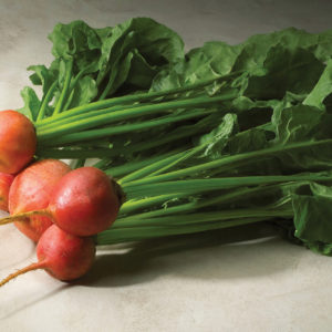 Beet - Sakata Wholesale Vegetable Seed