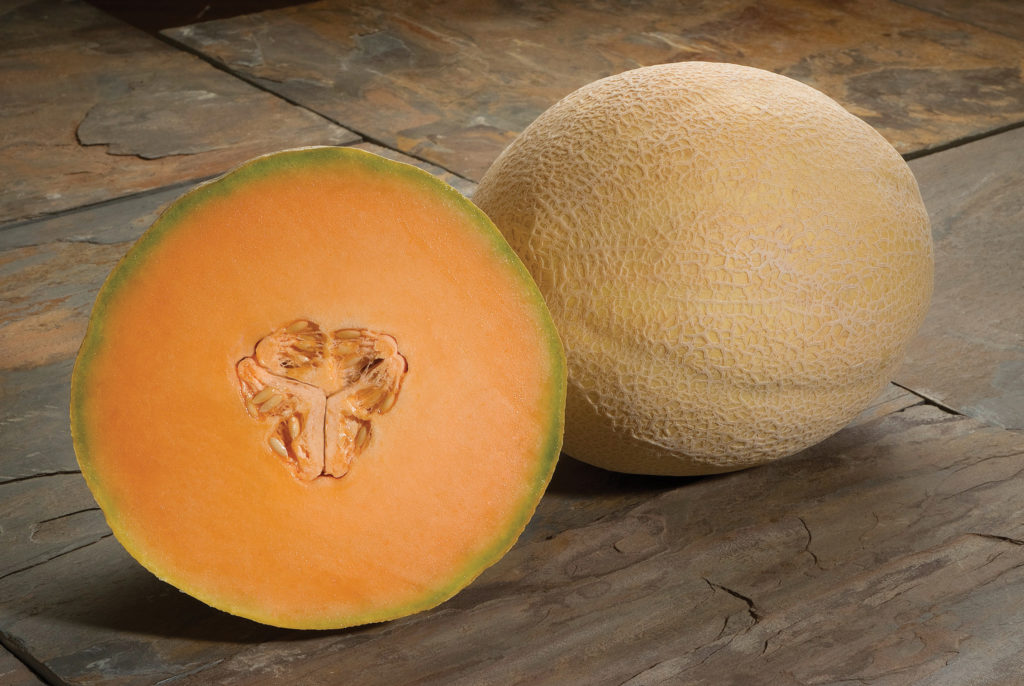Melon - Sakata Wholesale Vegetable Seed