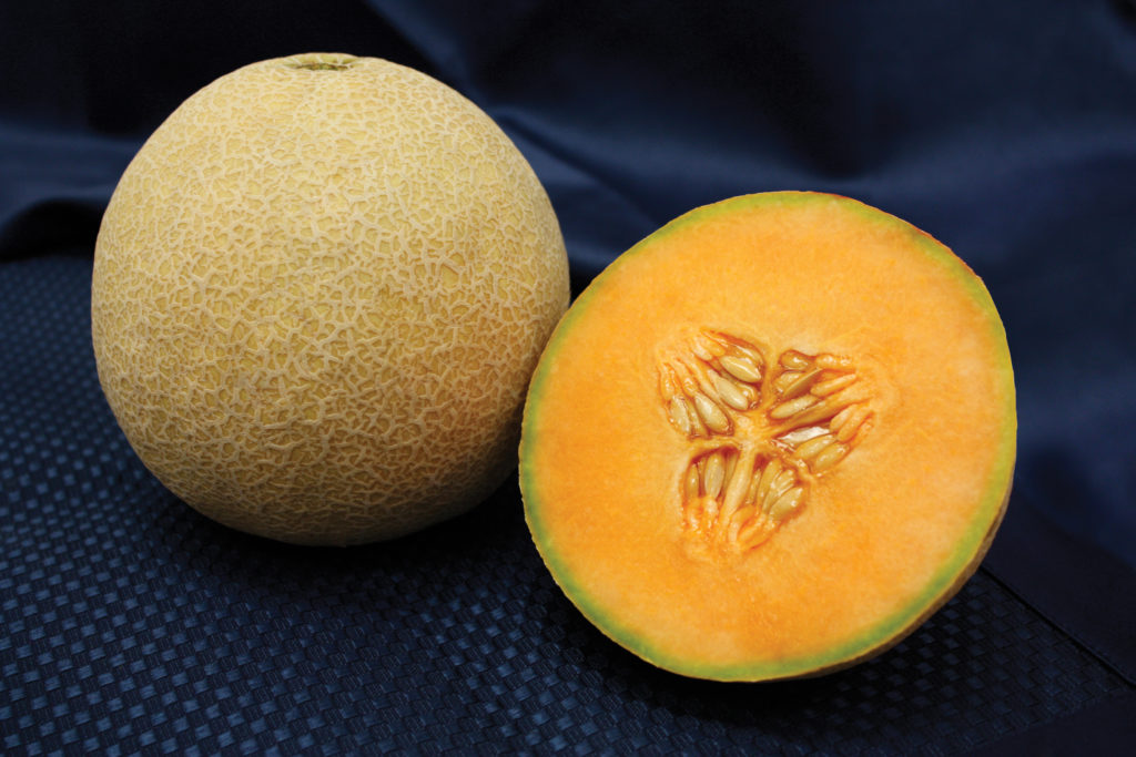 Melon - Sakata Wholesale Vegetable Seed