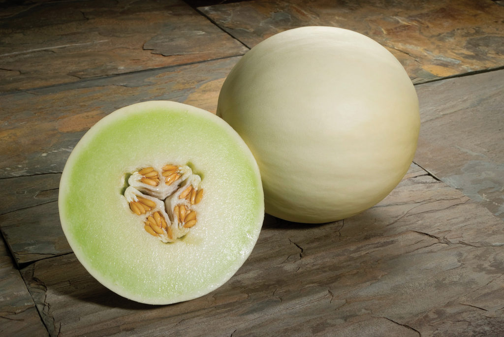 Melon - Sakata Wholesale Vegetable Seed