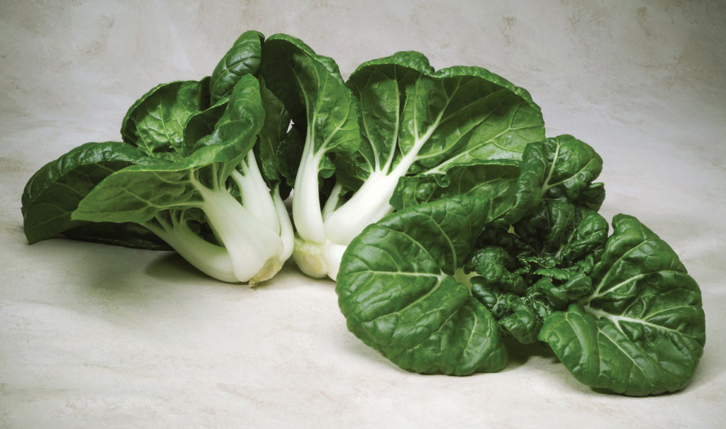 Toy Choy - Sakata Wholesale Vegetable Seed