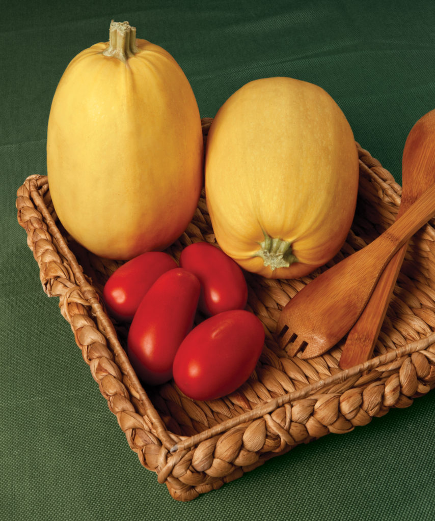 Primavera - Sakata Wholesale Vegetable Seed