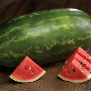 Watermelon - Sakata Wholesale Vegetable Seed