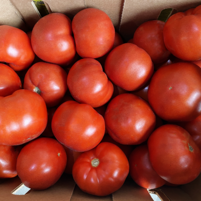STM2255 - Sakata Wholesale Vegetable Seed