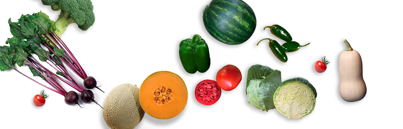 Home - Sakata Wholesale Vegetable Seed