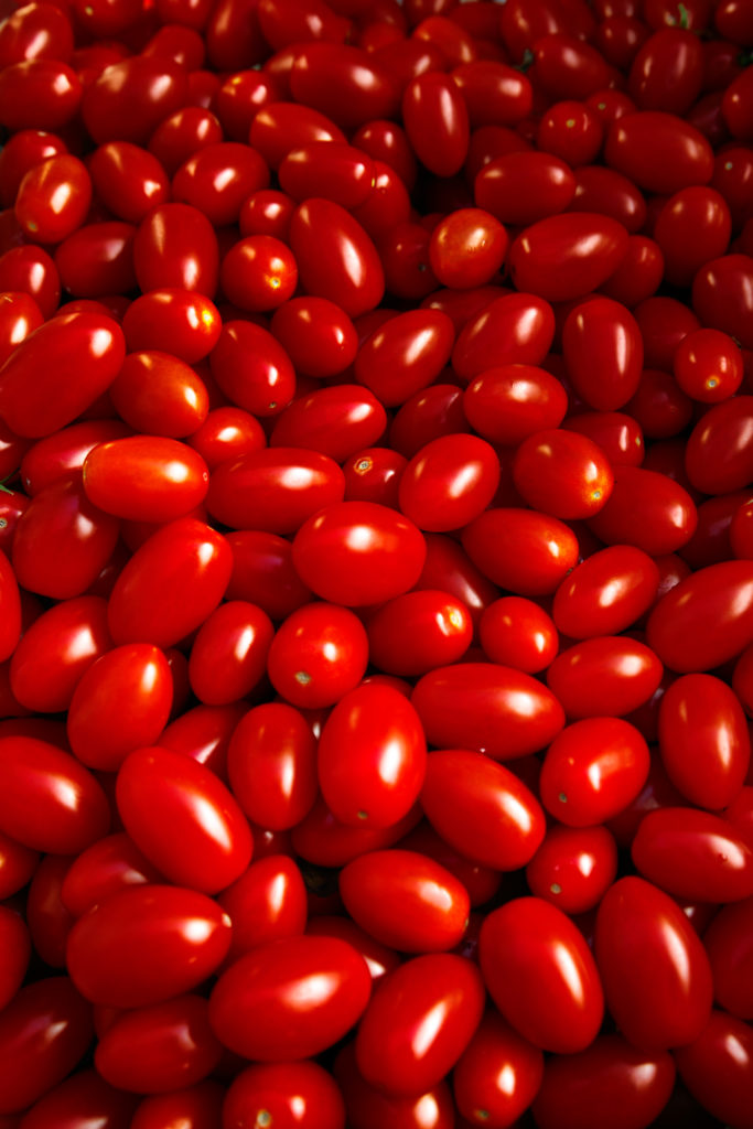 Ruby Crush - Sakata Wholesale Vegetable Seed