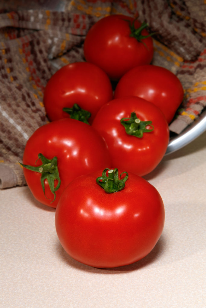 Camaro - Sakata Wholesale Vegetable Seed