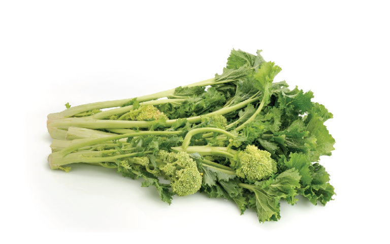 Broccoli Raab - Sakata Wholesale Vegetable Seed