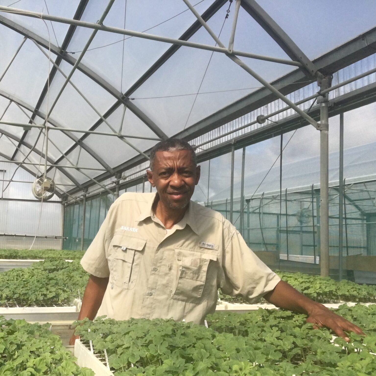 Our Company - Sakata Wholesale Vegetable Seed