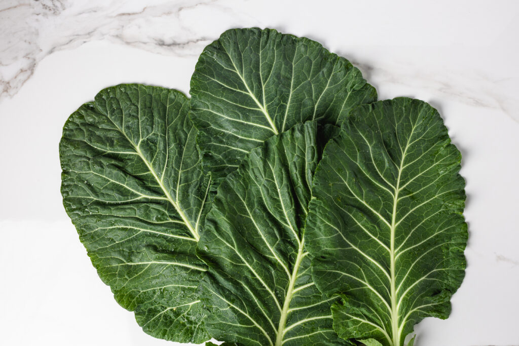 Top Gun - Sakata Wholesale Vegetable Seed