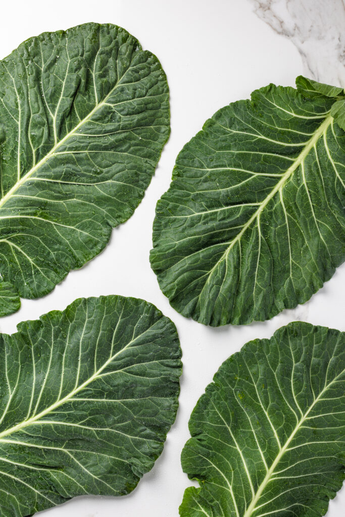 Top Gun - Sakata Wholesale Vegetable Seed